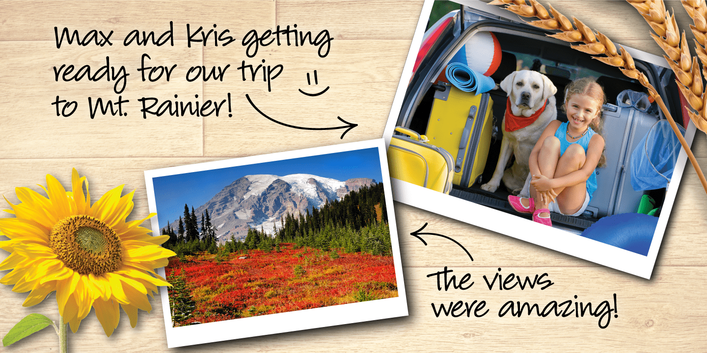 Louisiana Font Family by CBdO | Font Bros