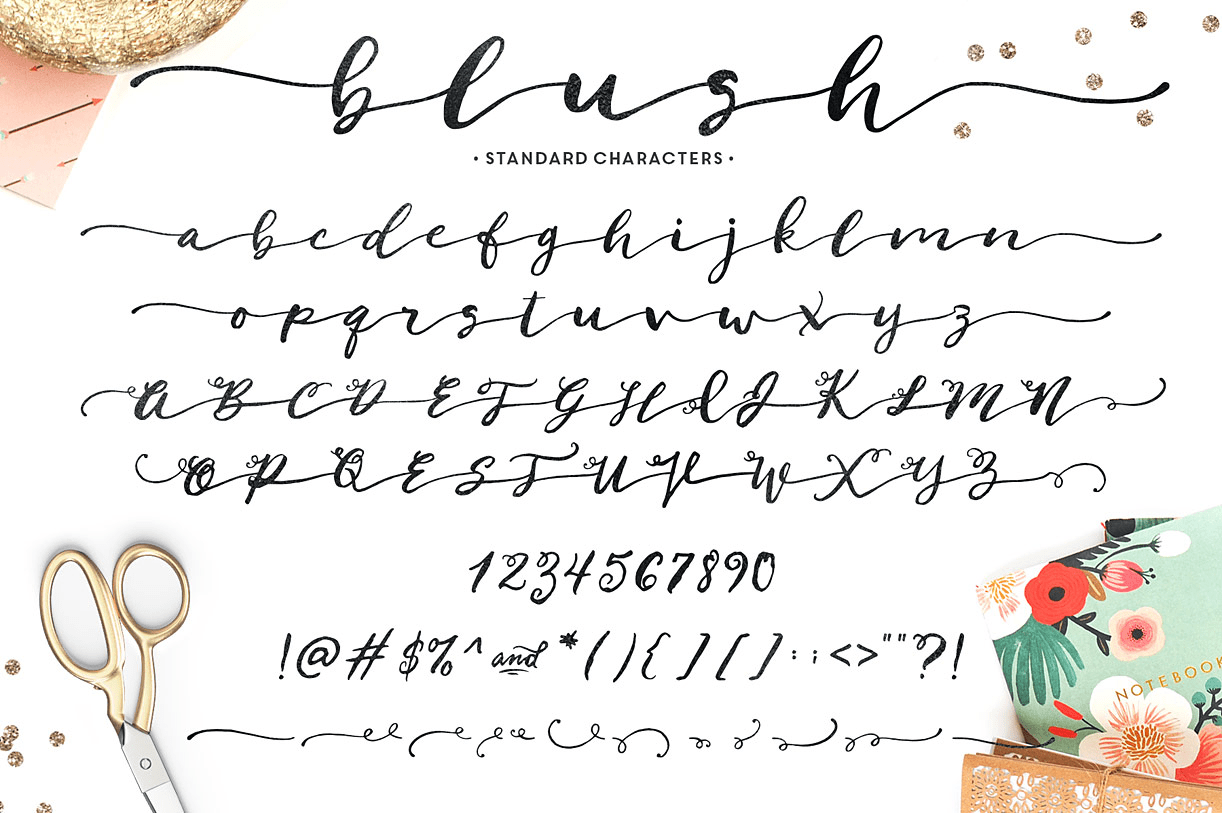 Blush Font Family by Callie Rian & Co | Font Bros