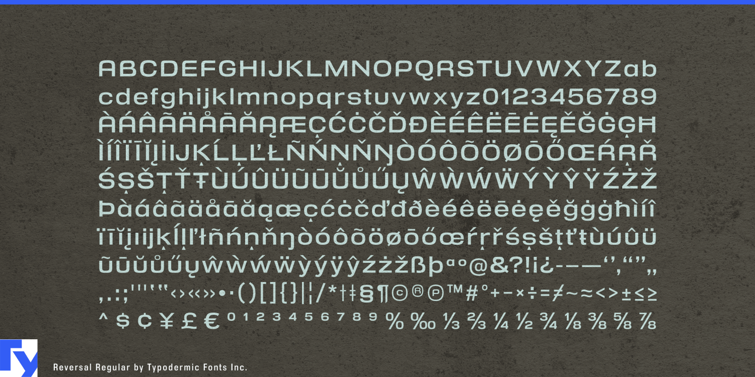 Reversal Font Family by Typodermic | Font Bros