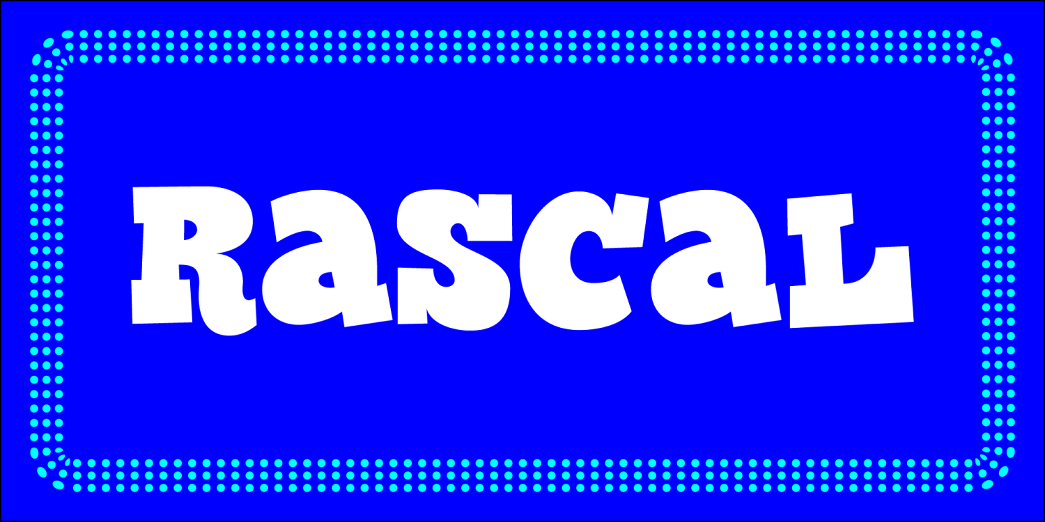 Rascal Font Family by Fontalicious | Font Bros