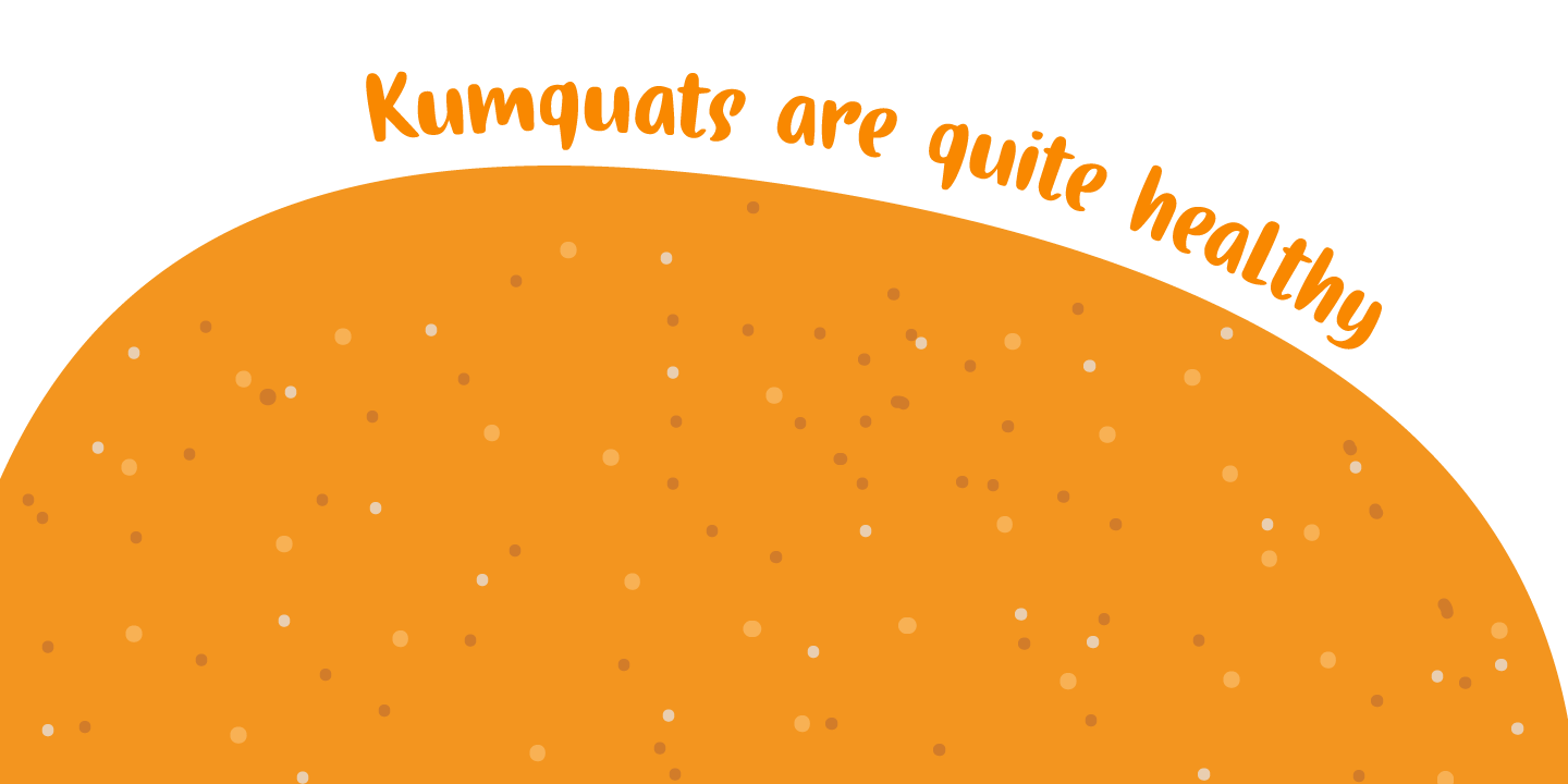 Gingerline Font Family by Hanoded | Font Bros