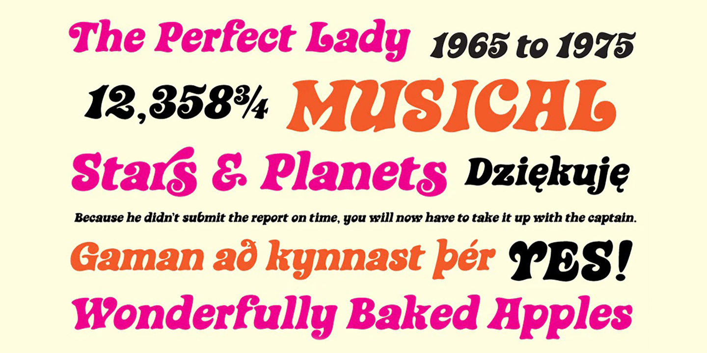 Dandelion Font Style by Jukebox | Font Bros