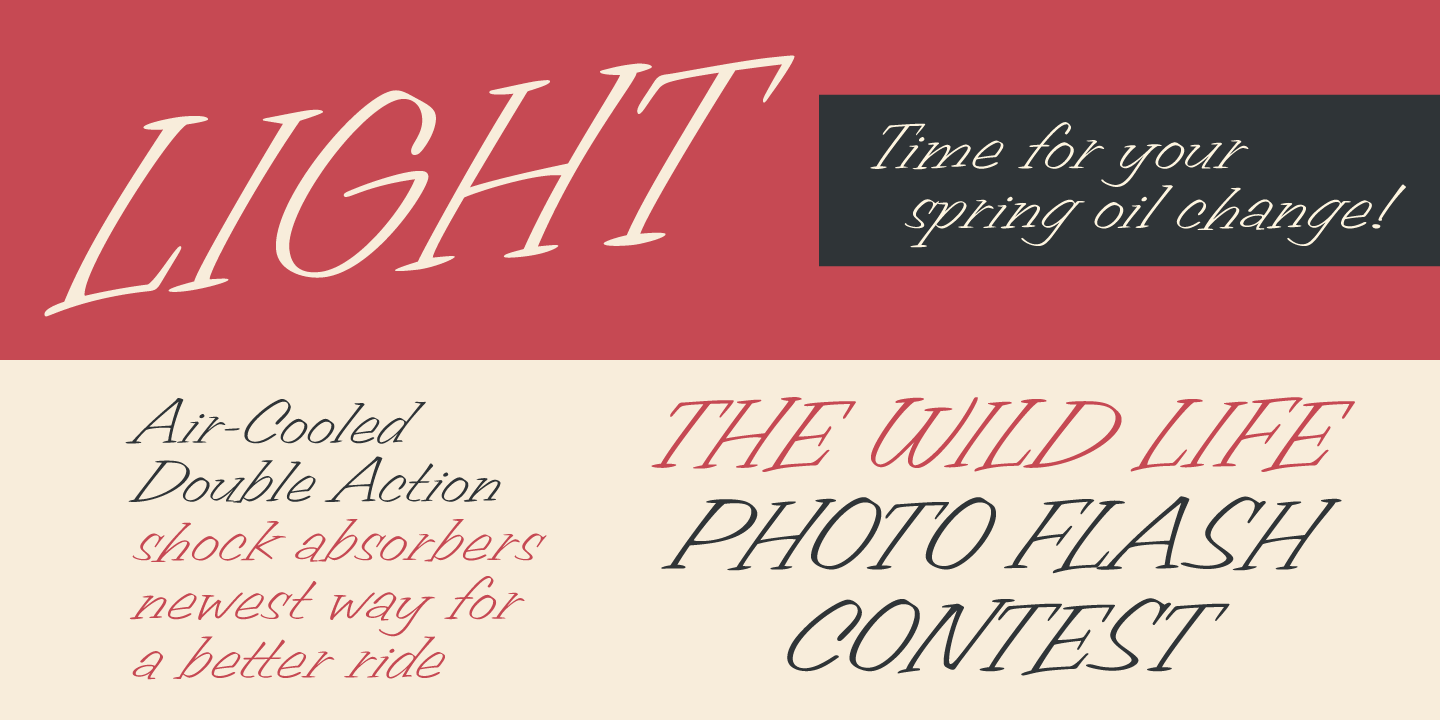 Filmotype Carmen Font Family by Filmotype | Font Bros