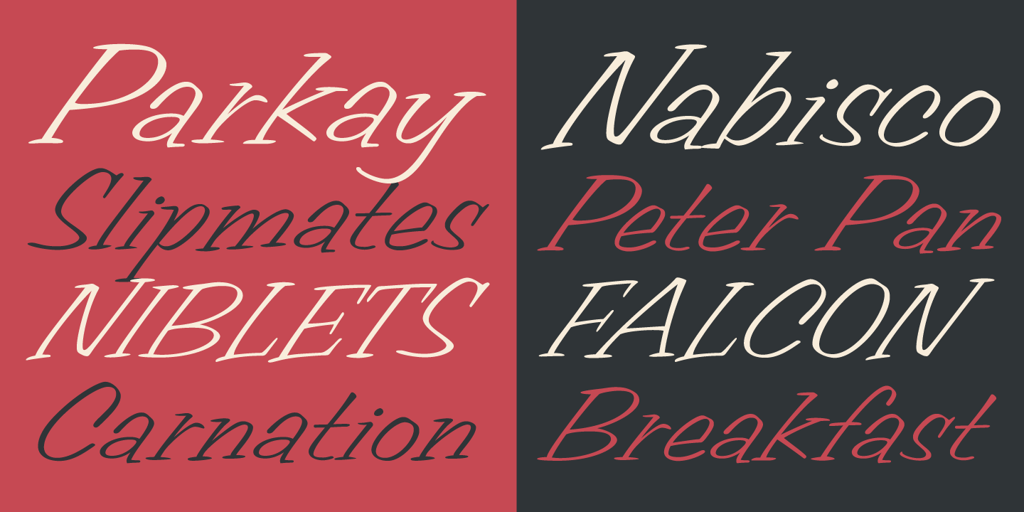 Filmotype Carmen Font Family by Filmotype | Font Bros