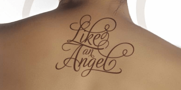 Adios Script Pro Font Family by Sudtipos | Font Bros