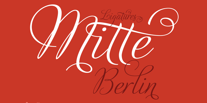 Adios Script Pro Font Family by Sudtipos | Font Bros