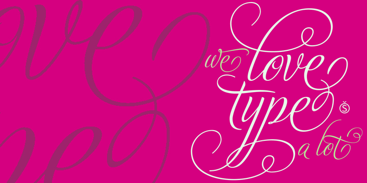 Adios Script Pro Font Family by Sudtipos | Font Bros