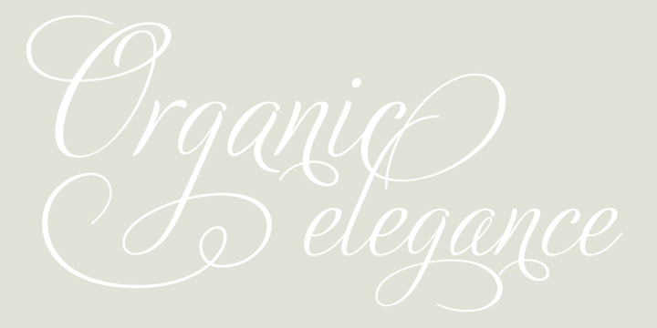 Adios Script Pro Font Family by Sudtipos | Font Bros