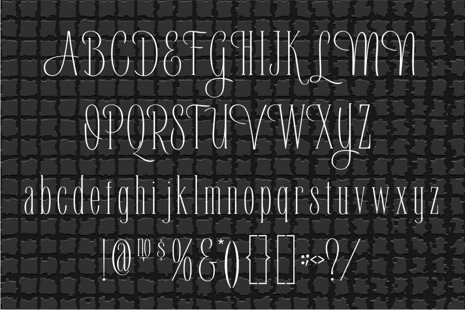 Poster Script Font Family by Art and Sign Unlimited | Font Bros