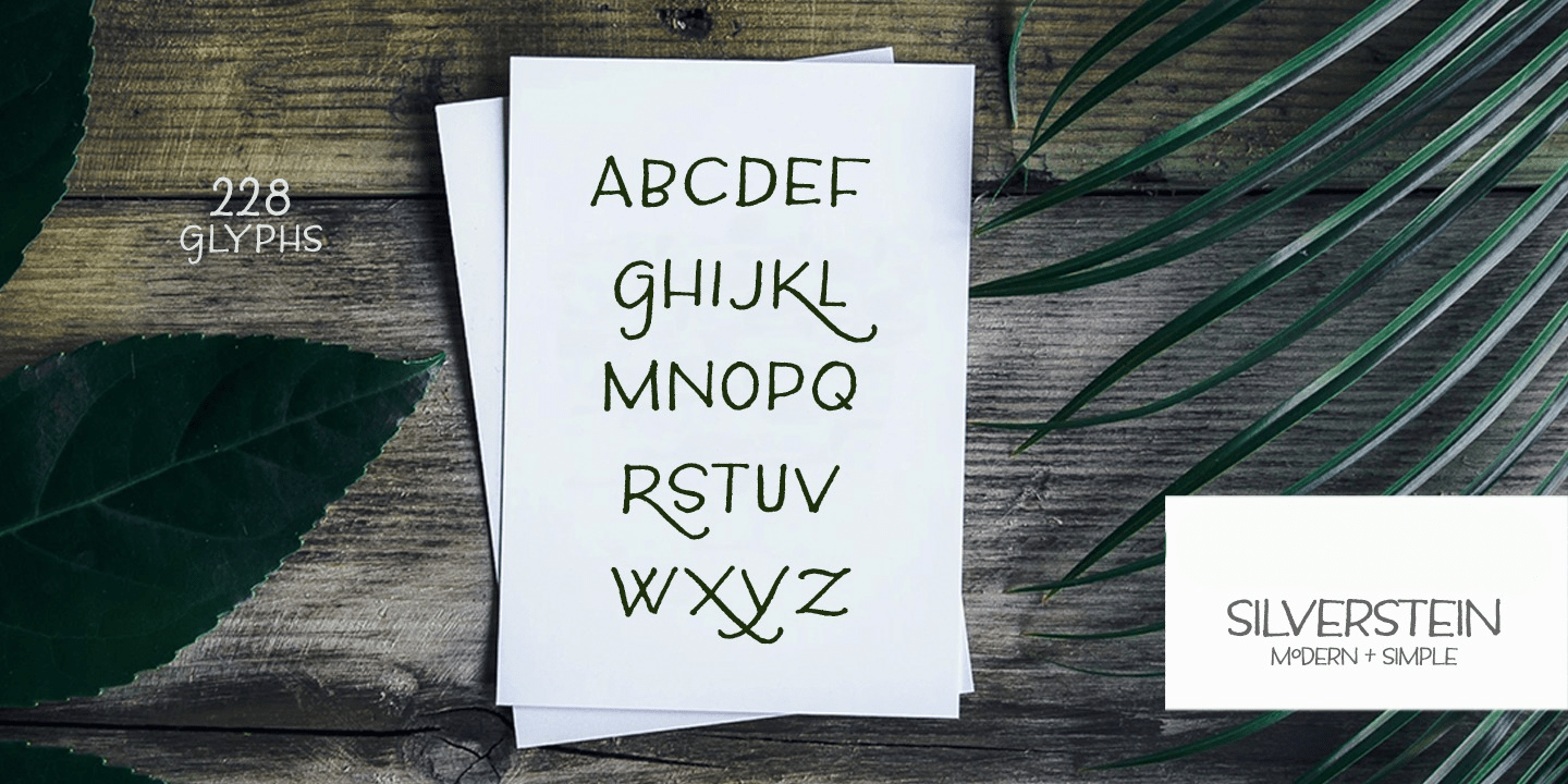 Silverstein Font Family by Tart Workshop | Font Bros