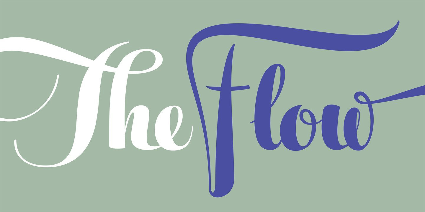 Feel Script Font Family by Sudtipos | Font Bros