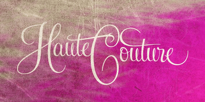 Feel Script Font Family by Sudtipos | Font Bros