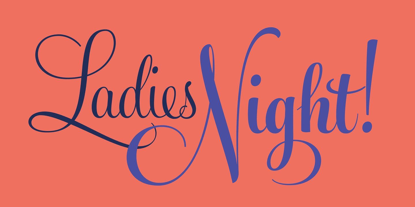 Feel Script Font Family by Sudtipos | Font Bros