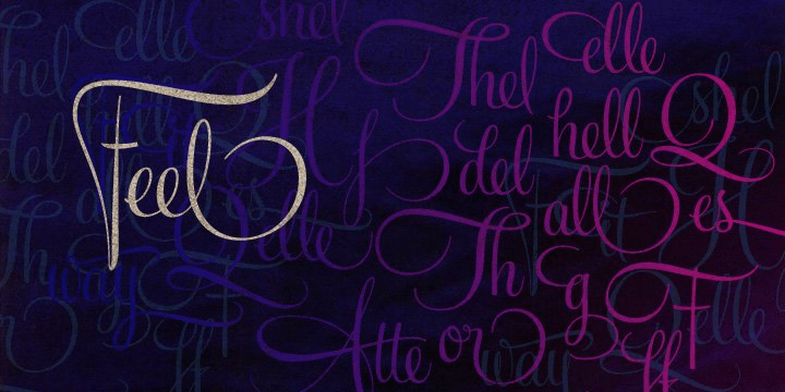 Feel Script Font Family by Sudtipos | Font Bros