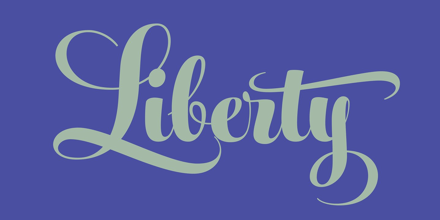 Feel Script Font Family by Sudtipos | Font Bros