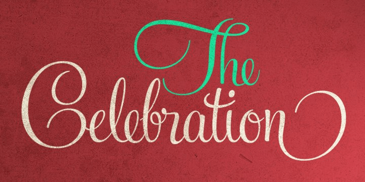 Feel Script Font Family by Sudtipos | Font Bros