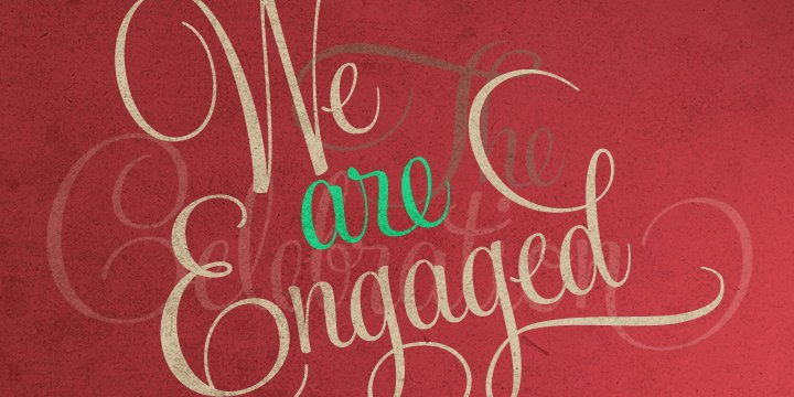 Feel Script Font Family by Sudtipos | Font Bros