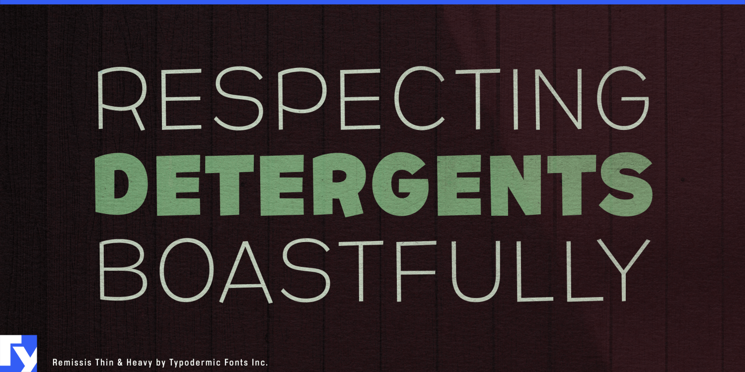 Remissis Font Family by Typodermic | Font Bros