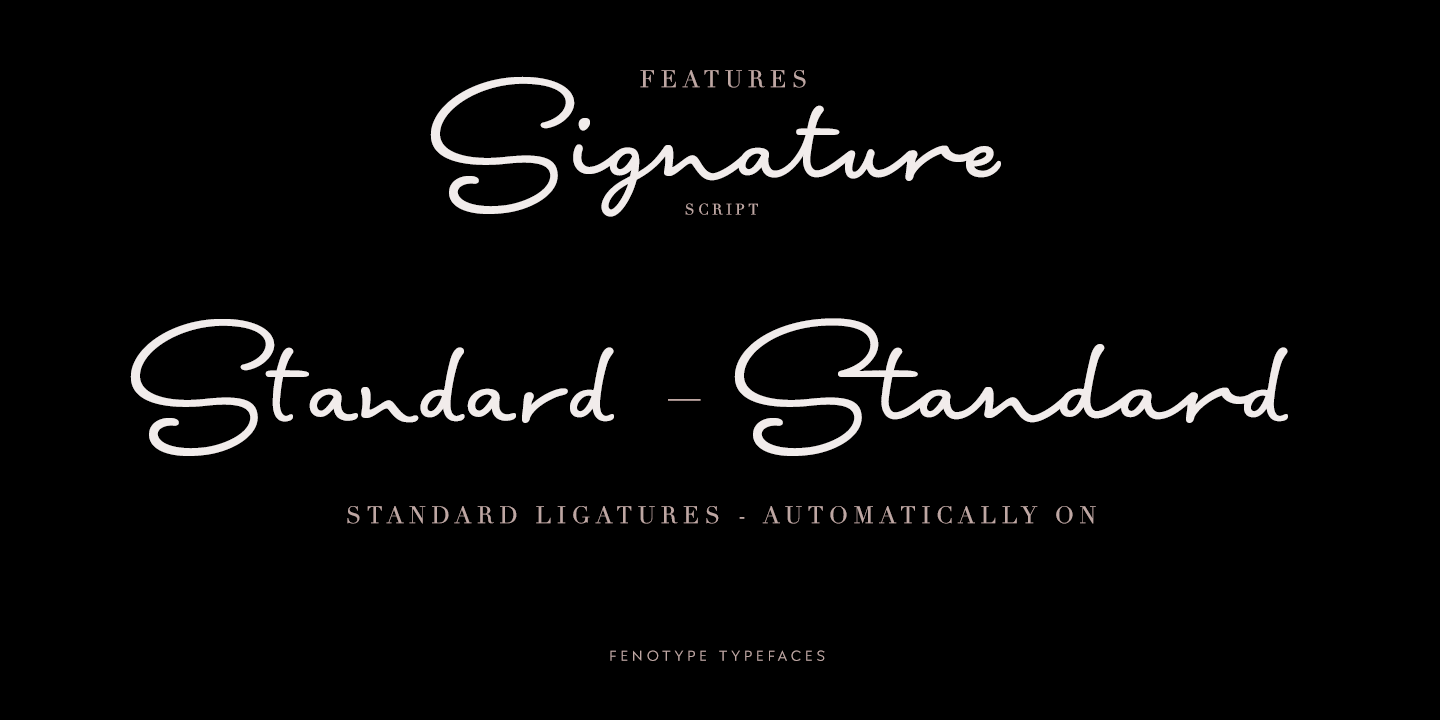 Signature Script Fenotype Font Family by Fenotype | Font Bros