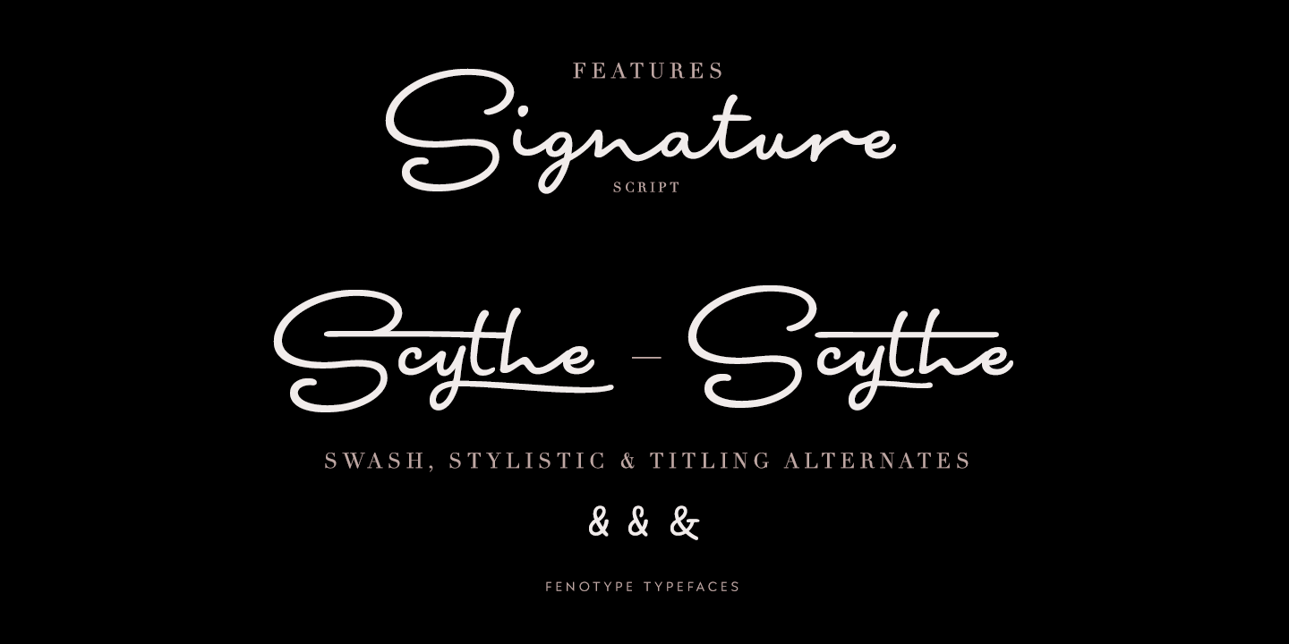 Signature Script Fenotype Font Family by Fenotype | Font Bros