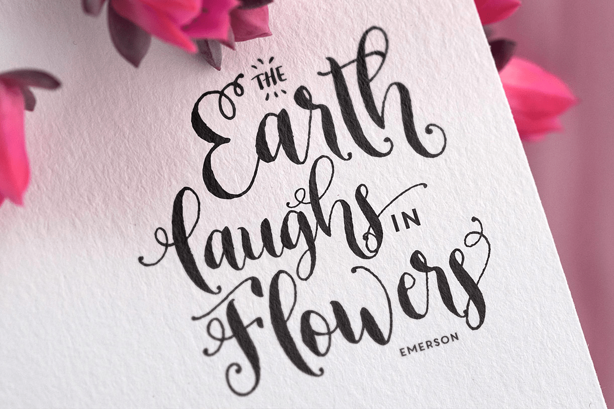 Cheers Font Family by Callie Rian & Co | Font Bros