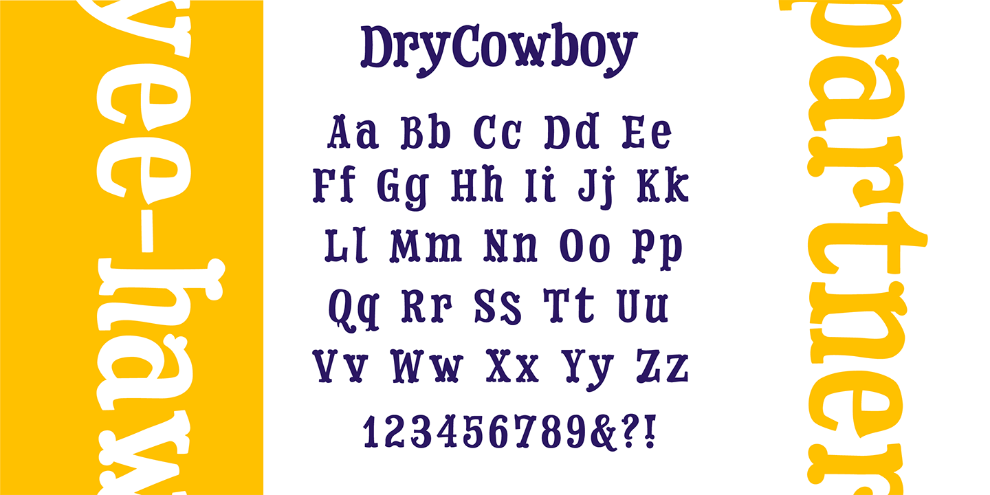 Dry Cowboy Font Family by Chank Co | Font Bros