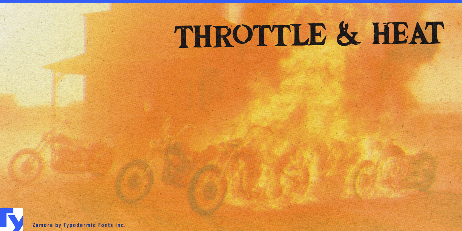 Zamora Font Family by Typodermic | Font Bros