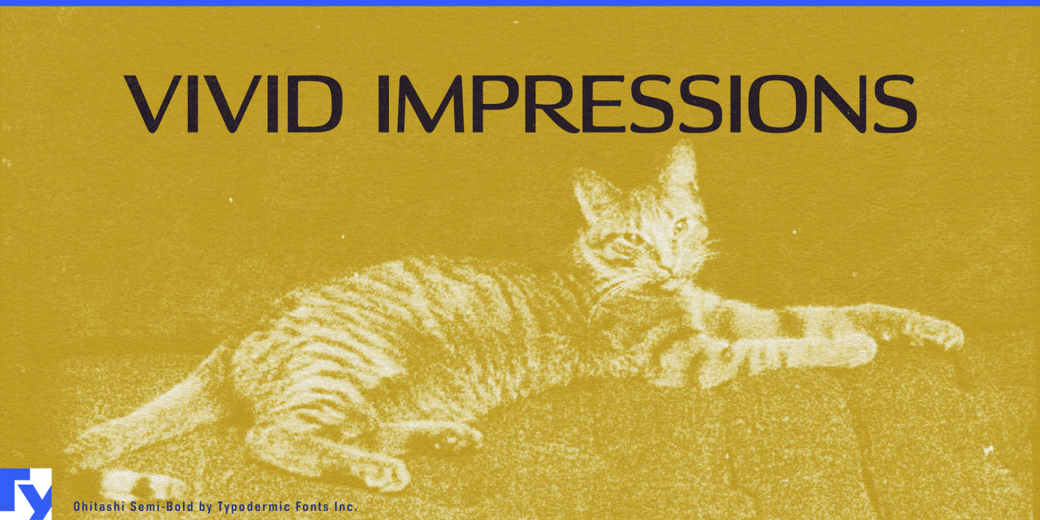 Ohitashi Font Family by Typodermic | Font Bros