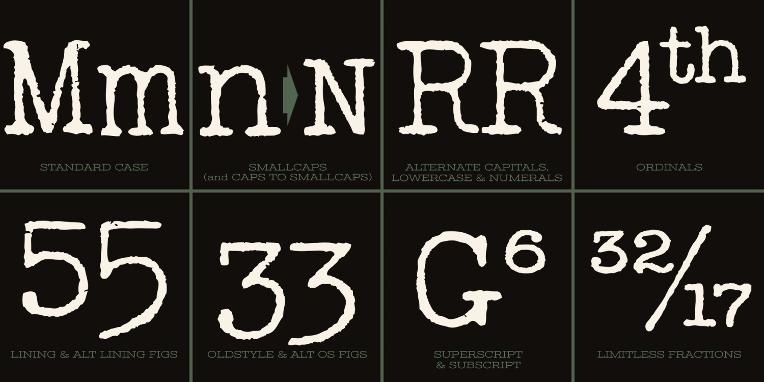 Wire Transfer 76 Font Family by Stiggy & Sands | Font Bros