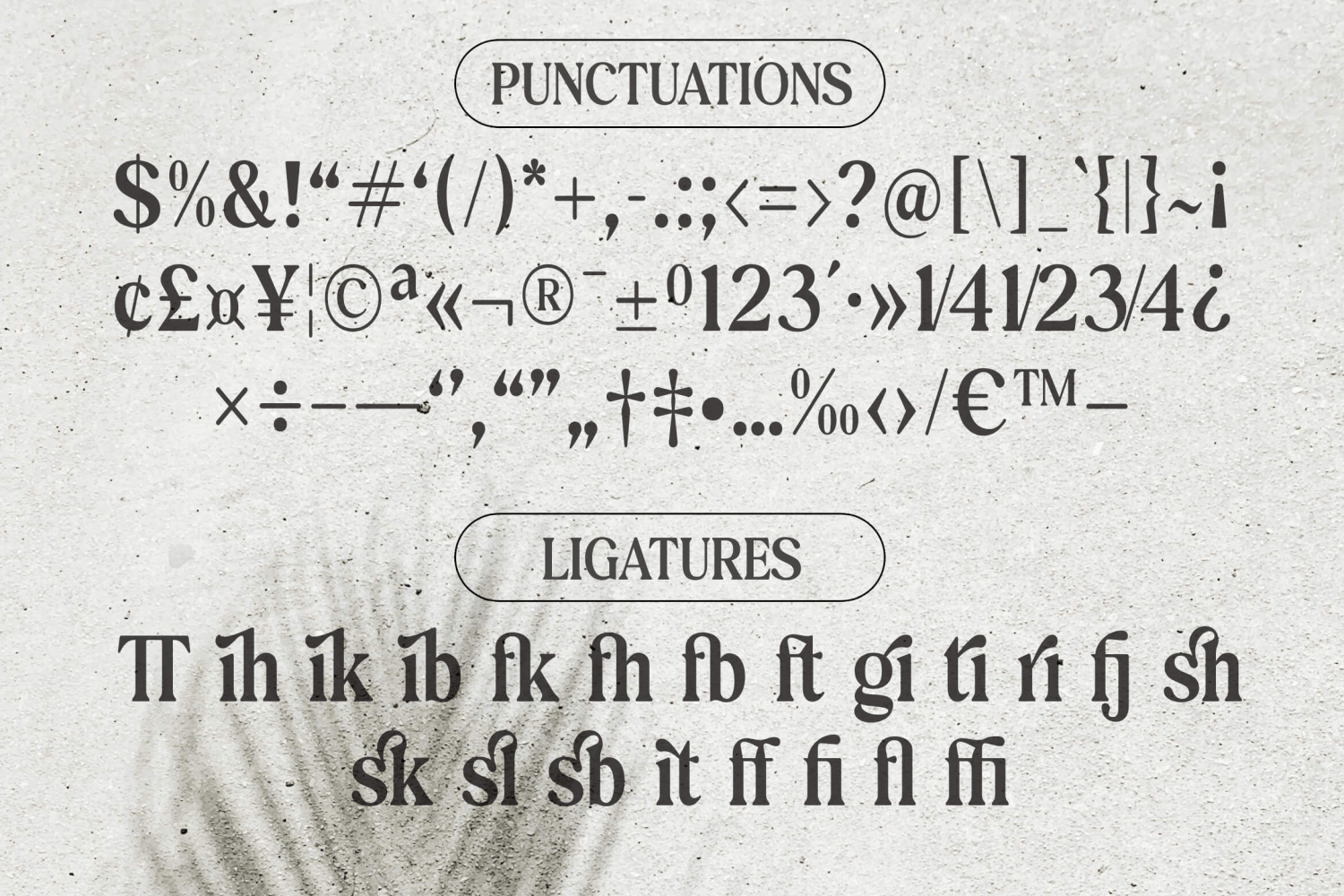 Exclusive Editorial Font Family by Dora Typefoundry | Font Bros